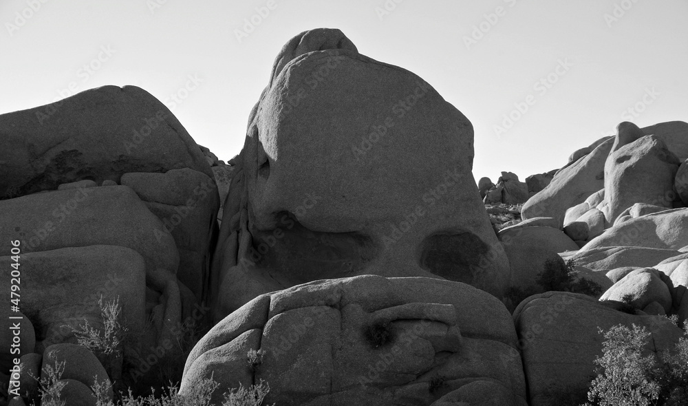 Rock formation Skull shape in desert with cactus, mountains, valley and ...