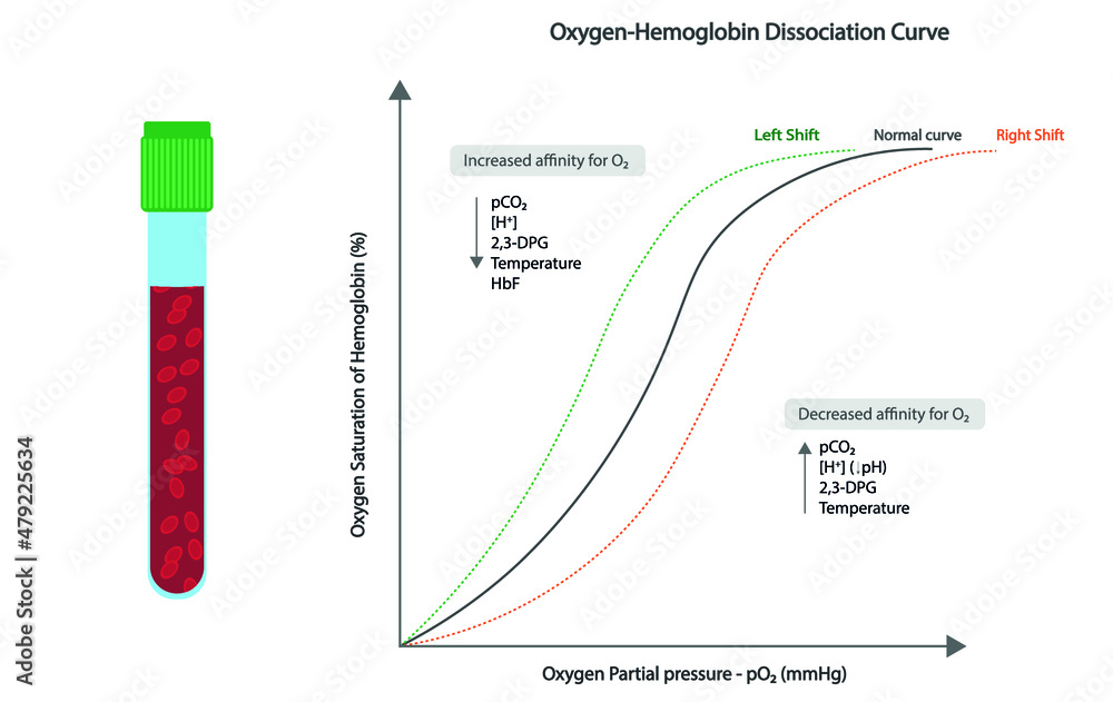 Oxygen Hemoglobin Dissociative Curve Or Oxygen Dissociation Curve ODC