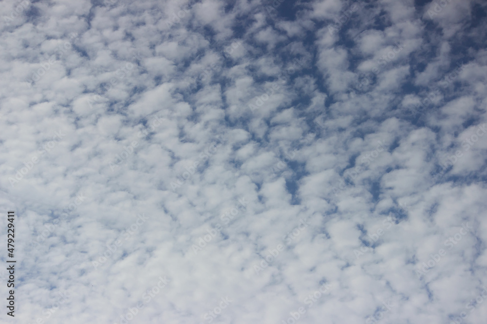 blue sky with cirrus clouds. evenly distributed white clouds over a ...
