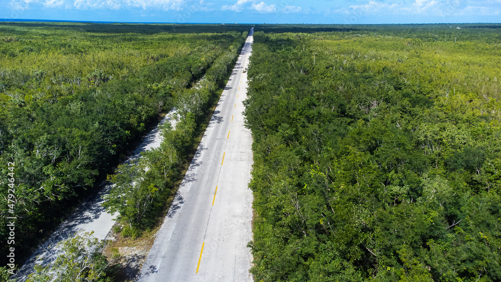 Highway road drive through dense jungle foliage on the south side of ...