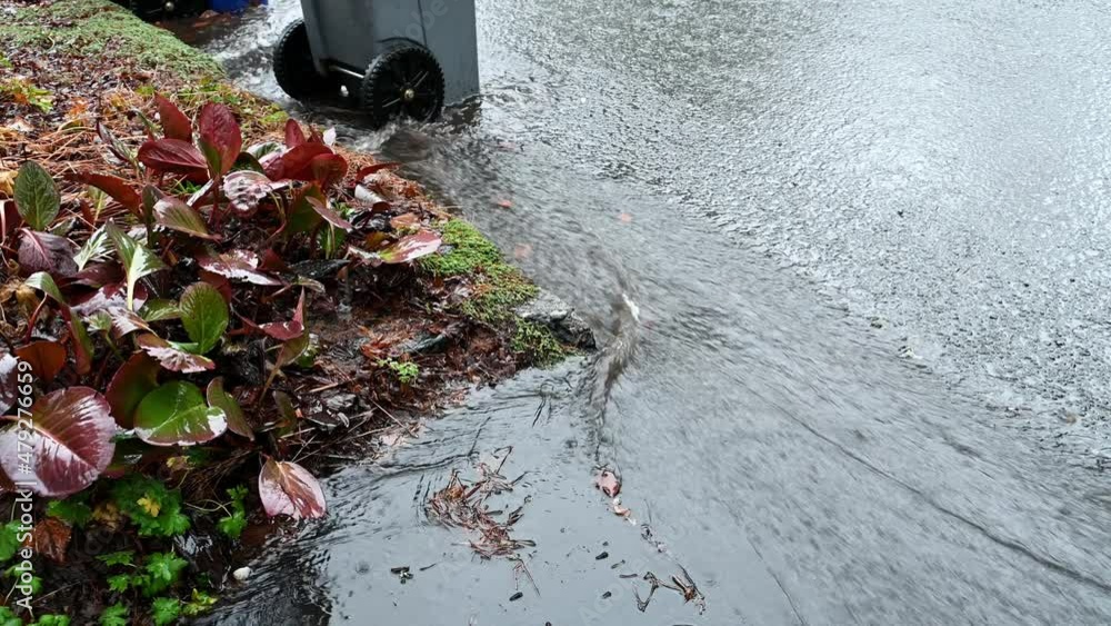Excessive rainwater flooding down a residential street gutter and ...
