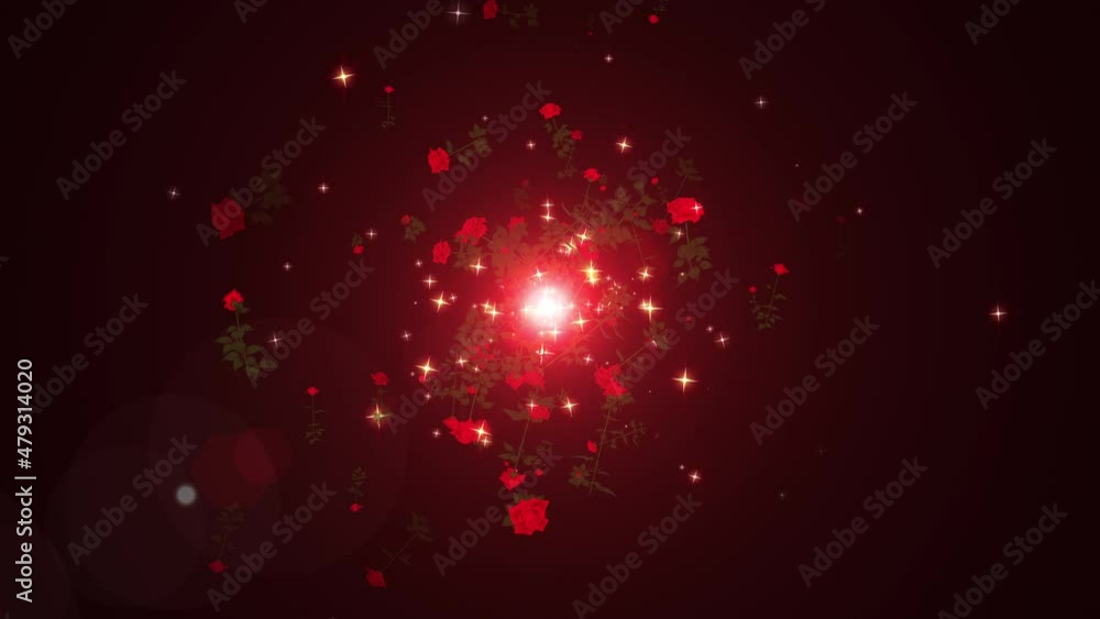rose flower particle loop animation Stock ビデオ | Adobe Stock
