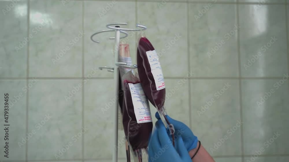 Nurse in medical disposable gloves putting a plastic bag of blood on ...