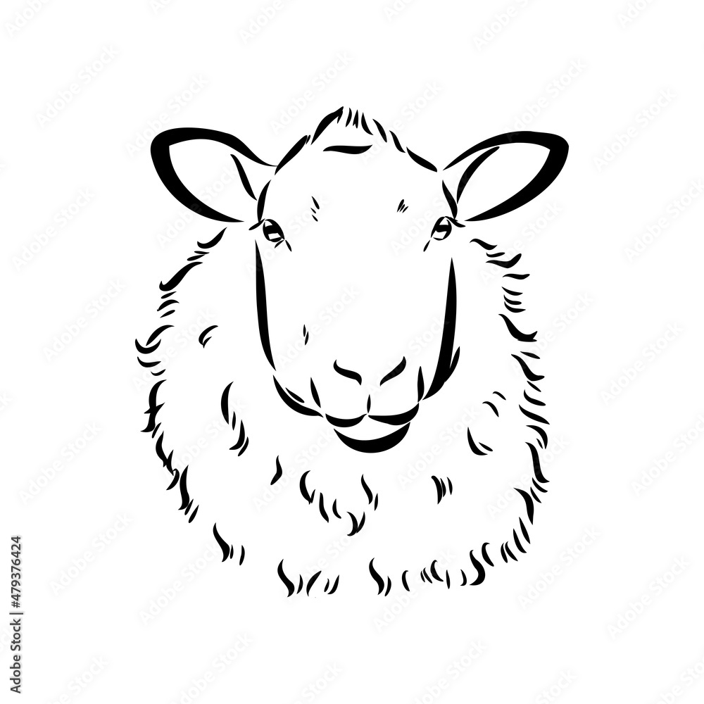 Sheep sketch style. Hand drawn illustration of beautiful black and ...