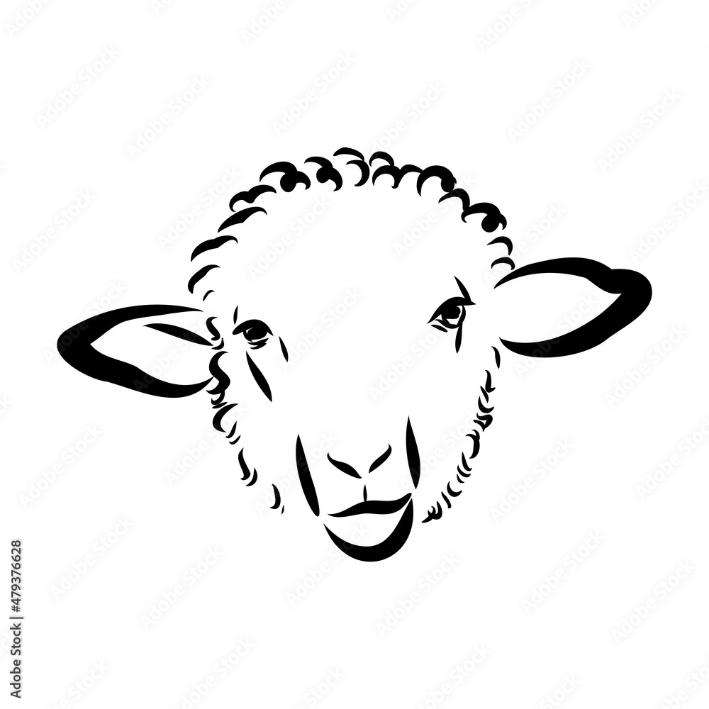 Sheep sketch style. Hand drawn illustration of beautiful black and ...