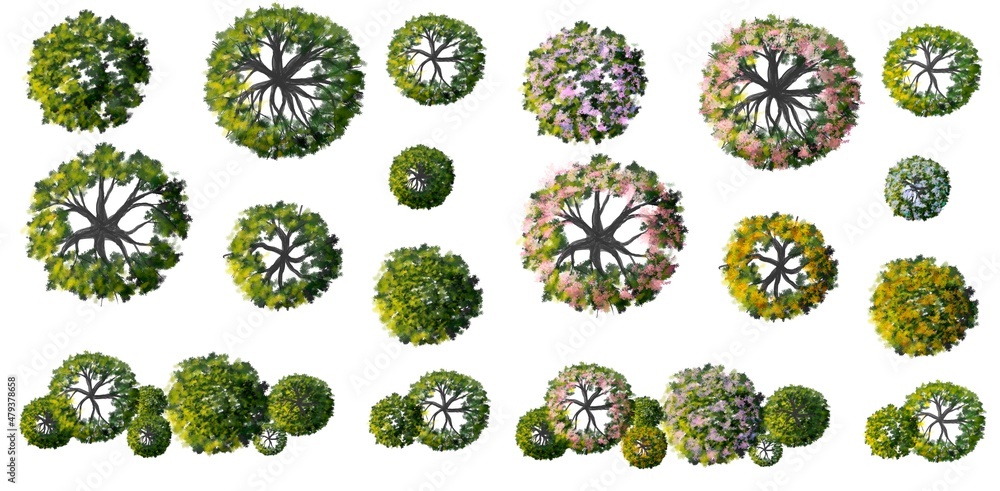 watercolor tree top view isolated on white background for landscape ...