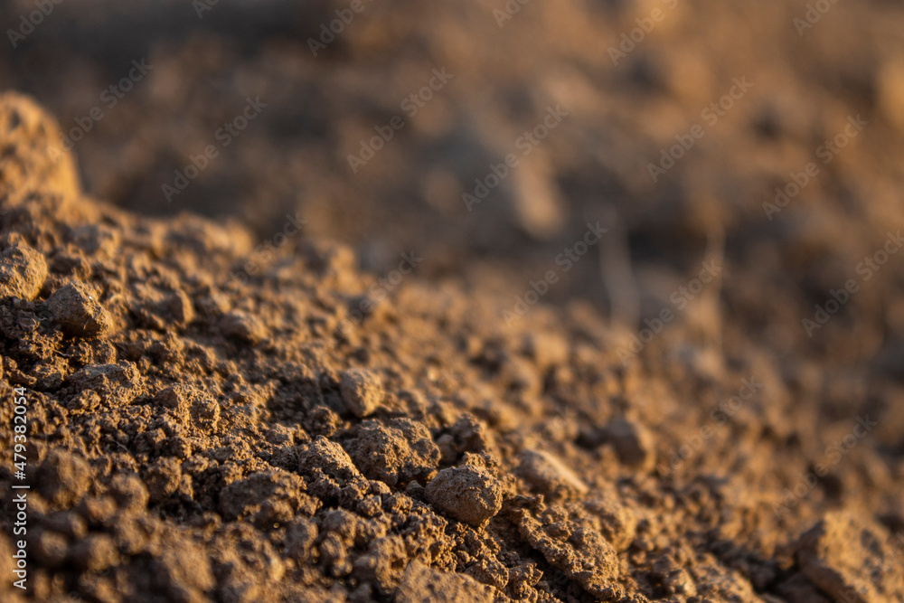 The texture of soil. Soil. Fertile soil for agriculture. Closeup of ...