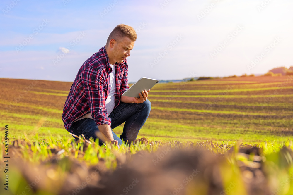Foto de Farmer using tablet computer in a field do Stock | Adobe Stock