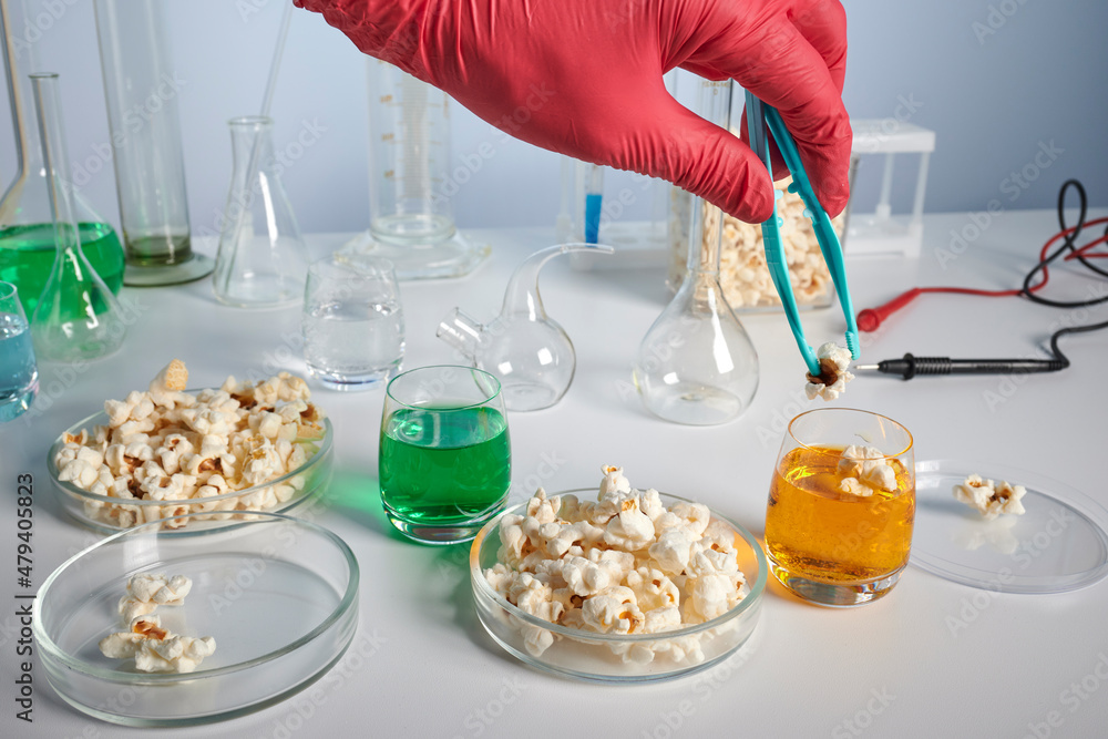 Hand takes pop corn from petri dish for test in a lab. Pop corn under ...
