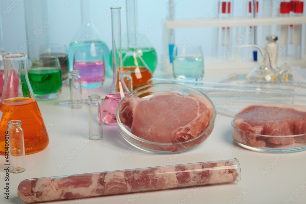 Fake meat inside test tube and petri dish glassware. Photo from biotech ...