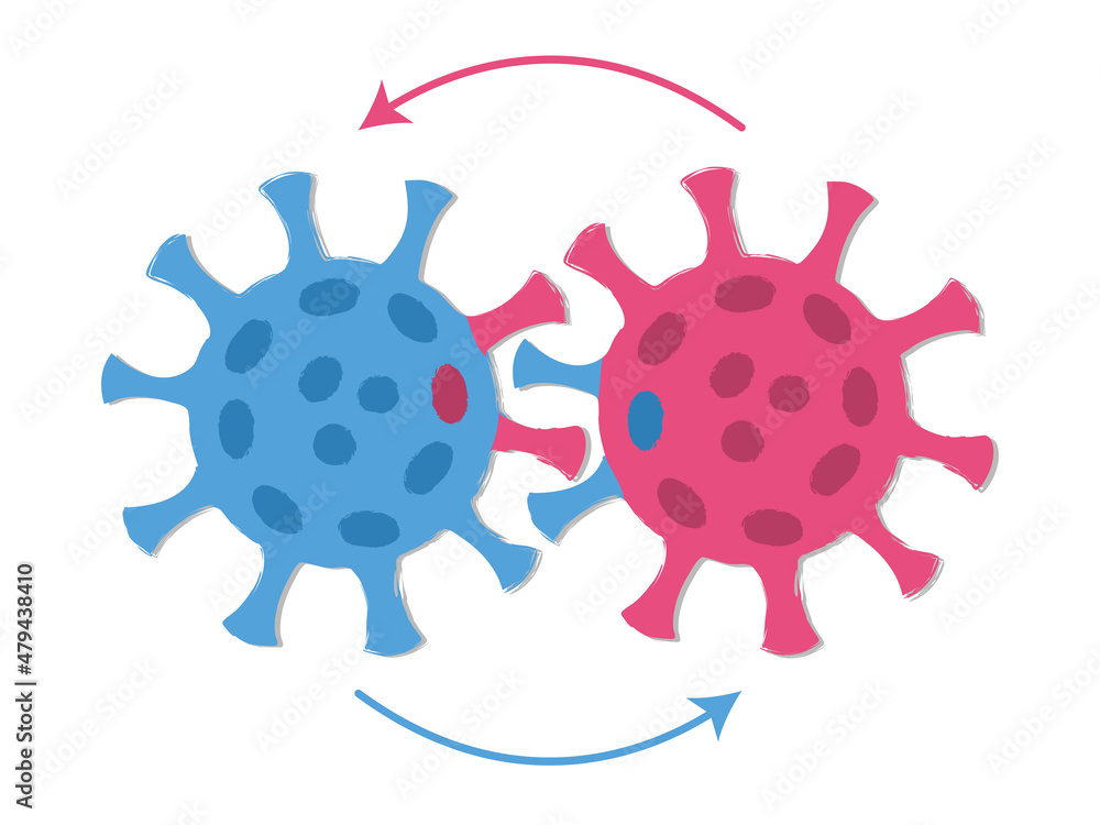Recombination of viruses. Schematic drawing. Two viruses exchange their ...