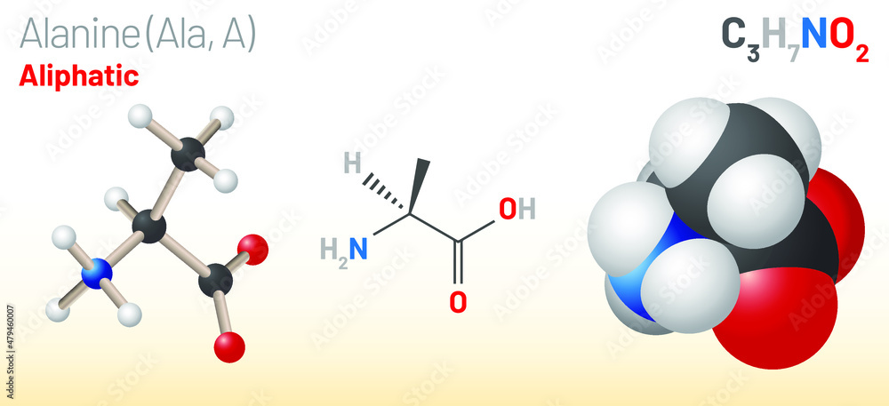 Alanine (Ala, A) amino acid molecule. (Chemical formula C3H7NO2) it is ...