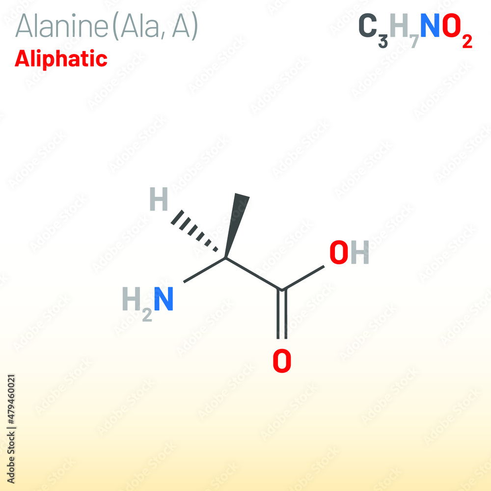 Alanine (Ala, A) amino acid molecule. (Chemical formula C3H7NO2) it is ...
