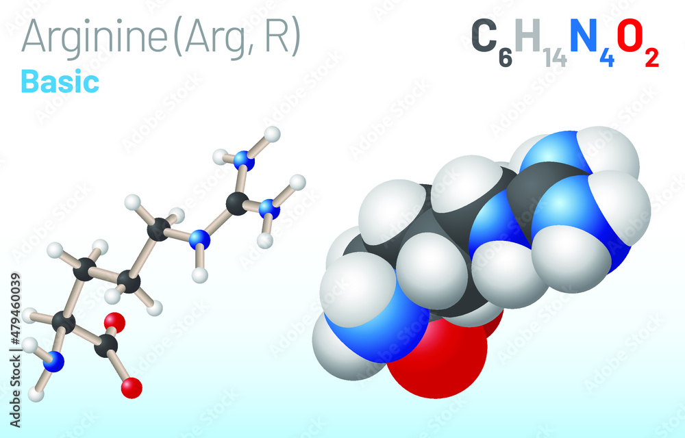 Plakat Arginine (Arg, R) amino acid molecule. (Chemical formula ...