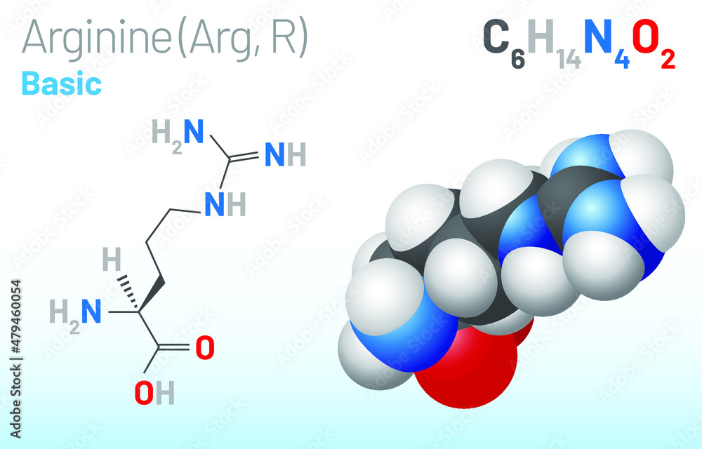 Arginine (Arg, R) amino acid molecule. (Chemical formula C6H14N4O2) it ...
