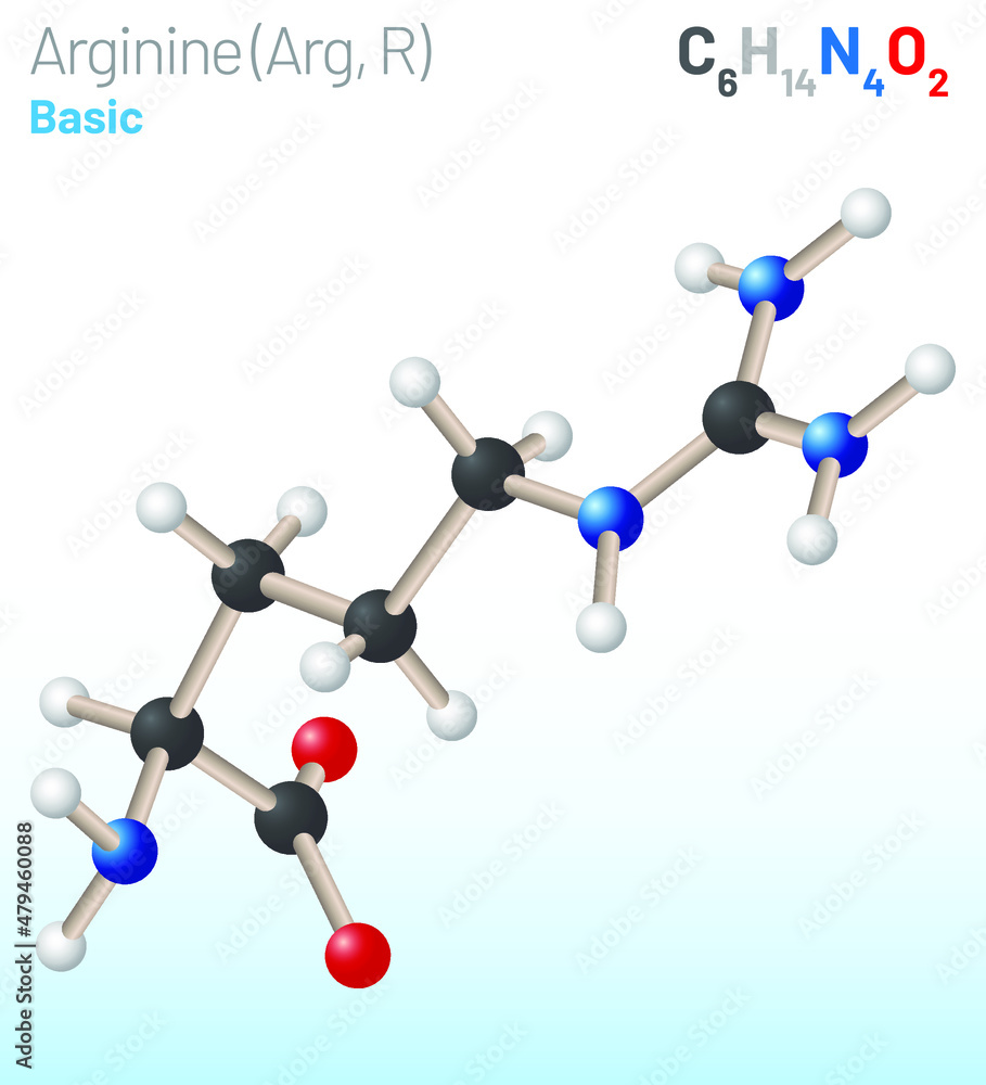 Vetor de Arginine (Arg, R) amino acid molecule. (Chemical formula ...