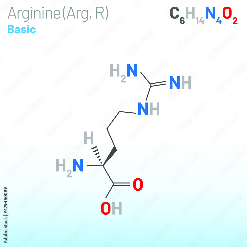 Arginine (Arg, R) amino acid molecule. (Chemical formula C6H14N4O2) it ...