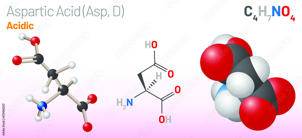 Aspartic Acid (Asp, D) amino acid molecule. (Chemical formula C4H7NO4 ...