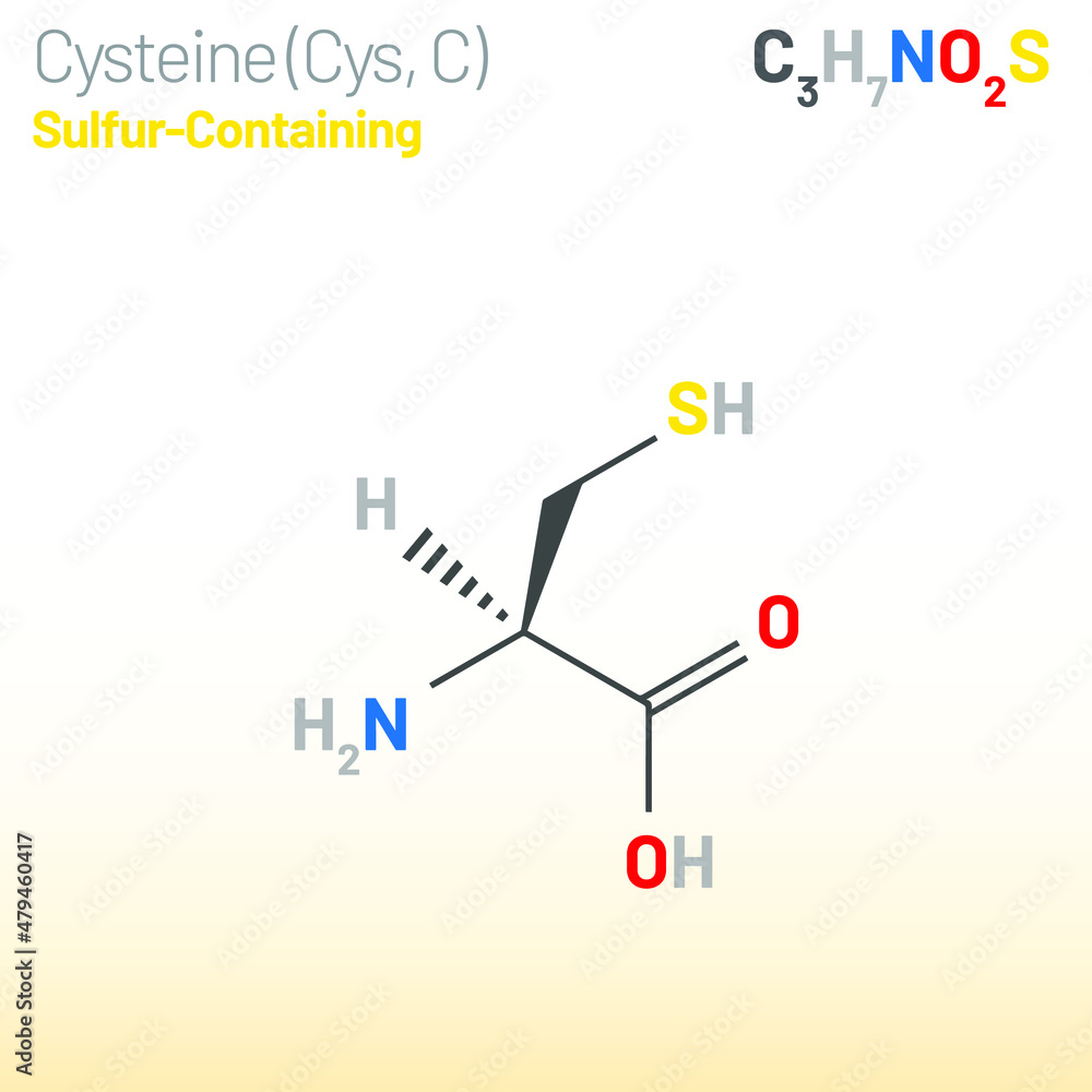 Cysteine (Cys, C) amino acid molecule. (Chemical formula C3H7NO2S ...