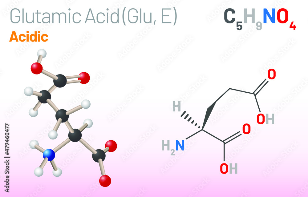 Glutamic Acid (Glu, E) amino acid molecule. (Chemical formula C5H9NO4 ...