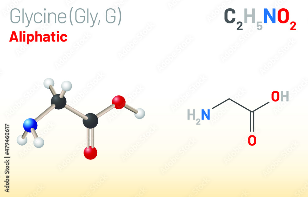 Vetor de Glycine (Gly, G) amino acid molecule. (Chemical formula ...