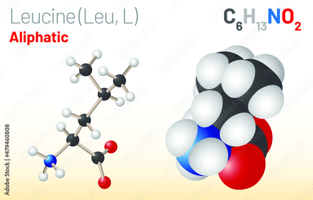 Plakat Leucine (Leu, L) amino acid molecule. (Chemical formula C6H13NO2 ...