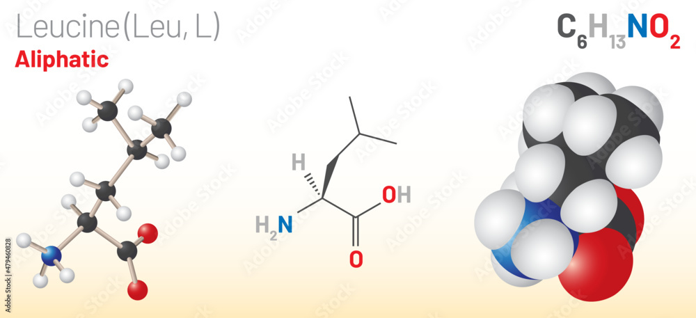 Structural Formula For Leucine
