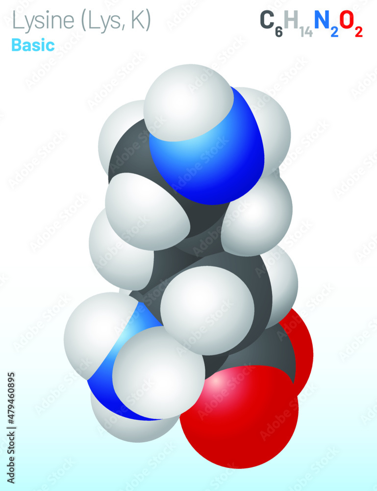 Lysine (Lys, K) amino acid molecule. (Chemical formula C6H14N2O2) used ...