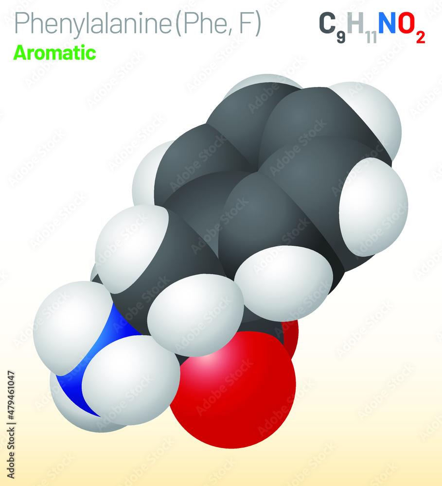 Phenylalanine (Phe, F) amino acid molecule. (Chemical formula C9H11NO2 ...