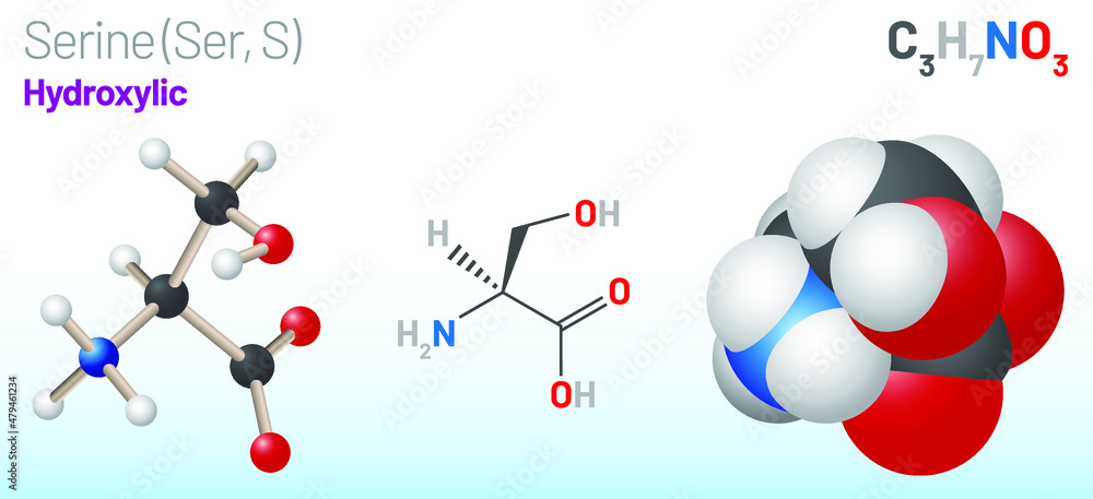 Serine Structural Formula