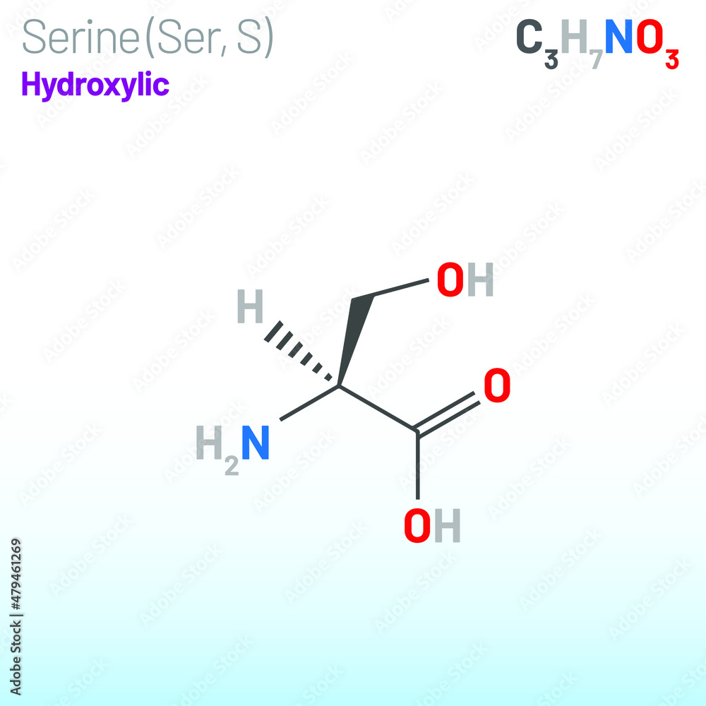 Serine (Ser, S) amino acid molecule. (Chemical formula C3H7NO3) Ball ...