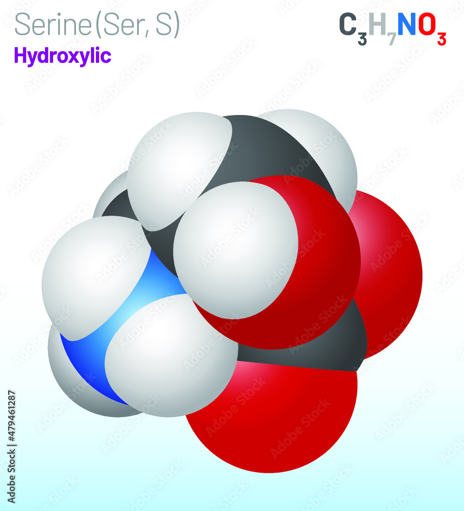 Serine (Ser, S) amino acid molecule. (Chemical formula C3H7NO3) Ball ...