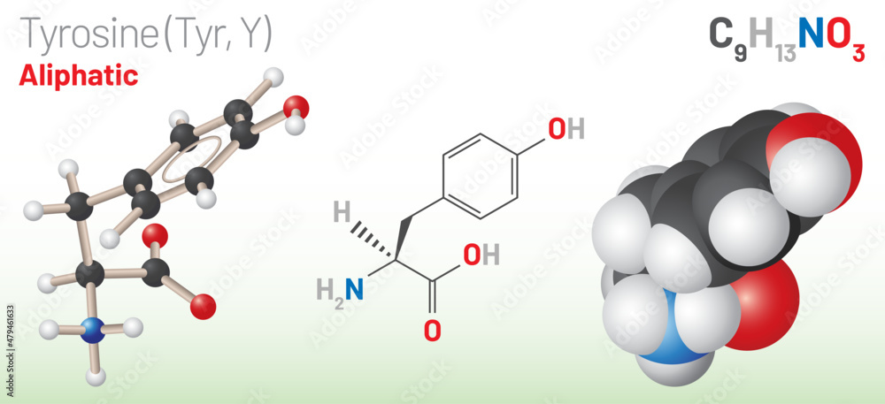 Tyrosine Structural Formula