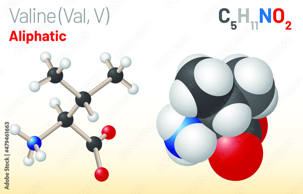 Valine (Val, L) amino acid molecule. (Chemical formula C5H11NO2) used ...
