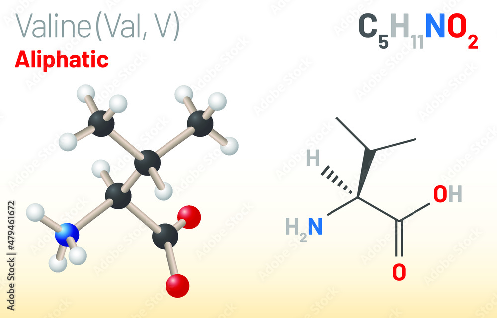 Valine (Val, L) amino acid molecule. (Chemical formula C5H11NO2) used ...