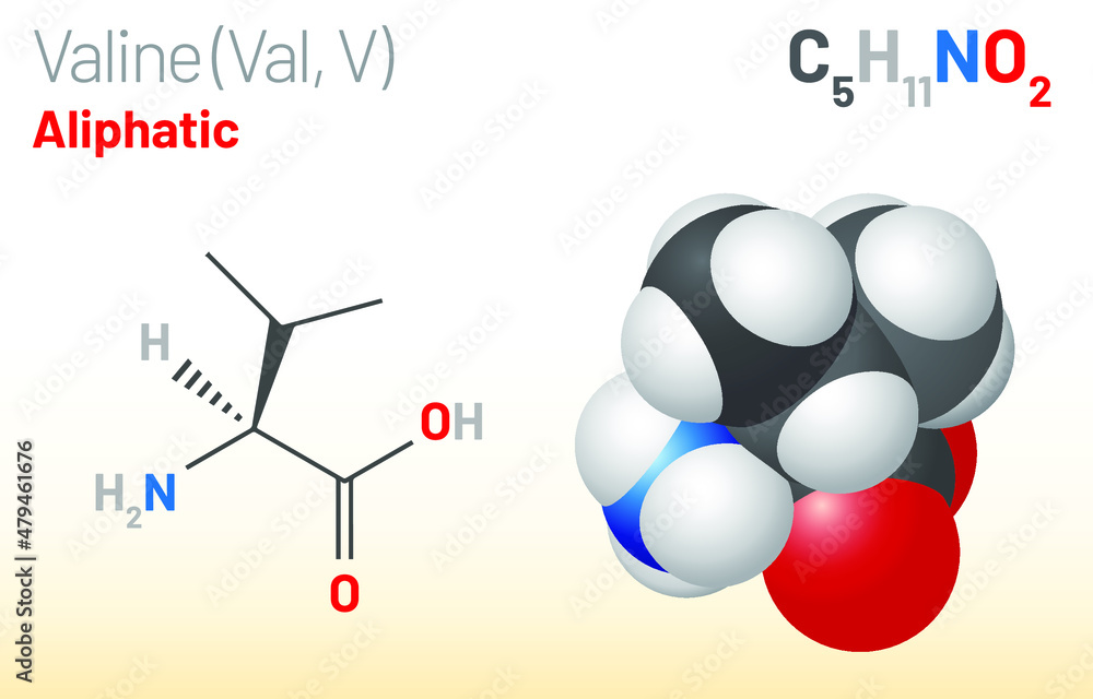 Valine (Val, L) amino acid molecule. (Chemical formula C5H11NO2) used ...