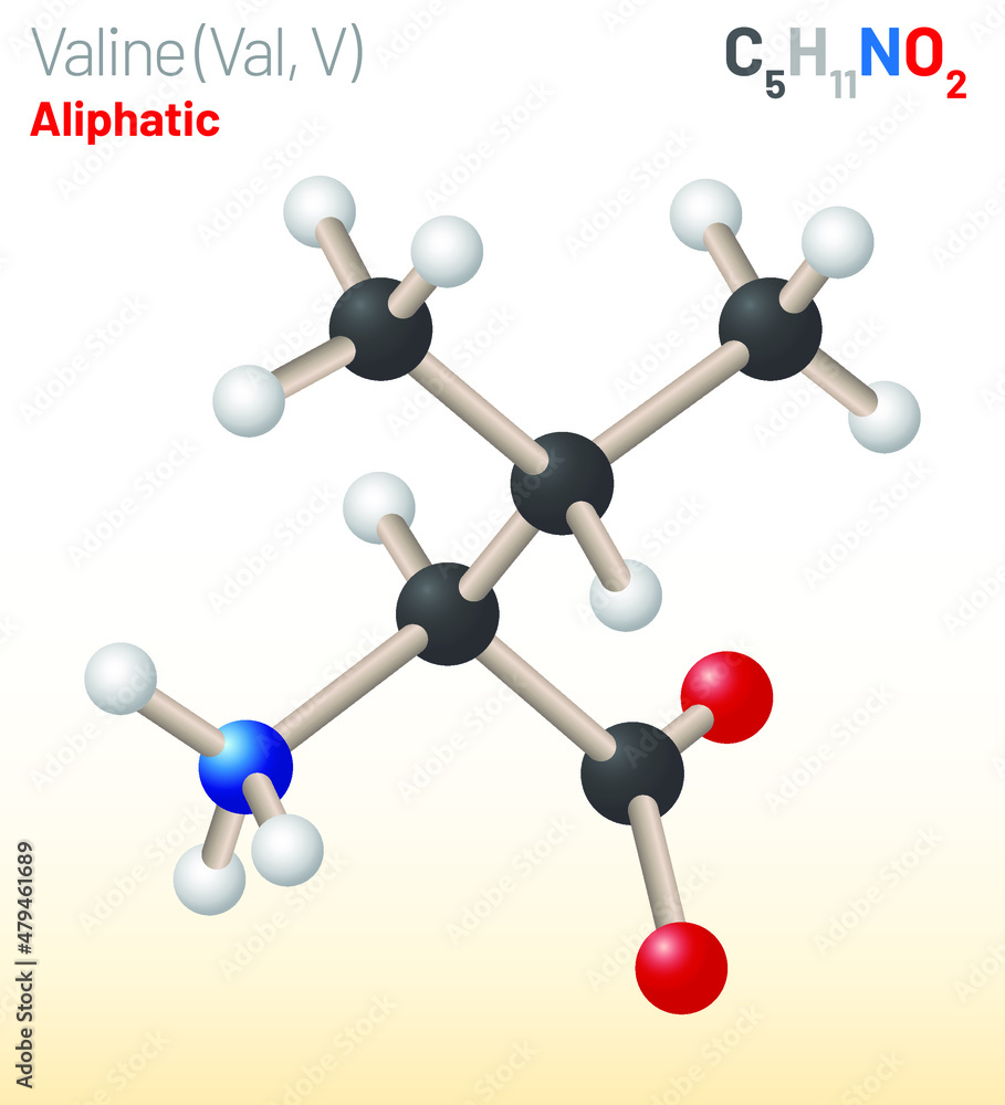 Valine (Val, L) amino acid molecule. (Chemical formula C5H11NO2) used ...