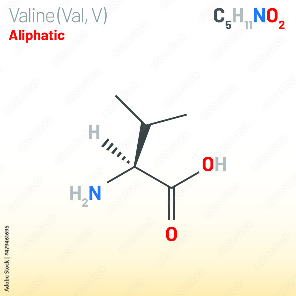 Valine Val L Amino Acid Molecule Chemical Formula C5h11no2 Used In The Biosynthesis Of