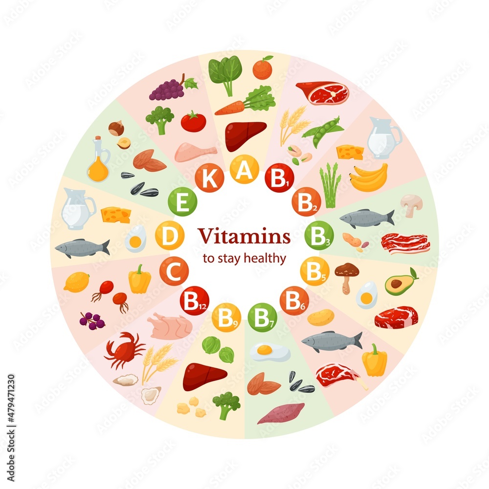 Wheel of vitamins and their sources, flat vector illustration isolated ...