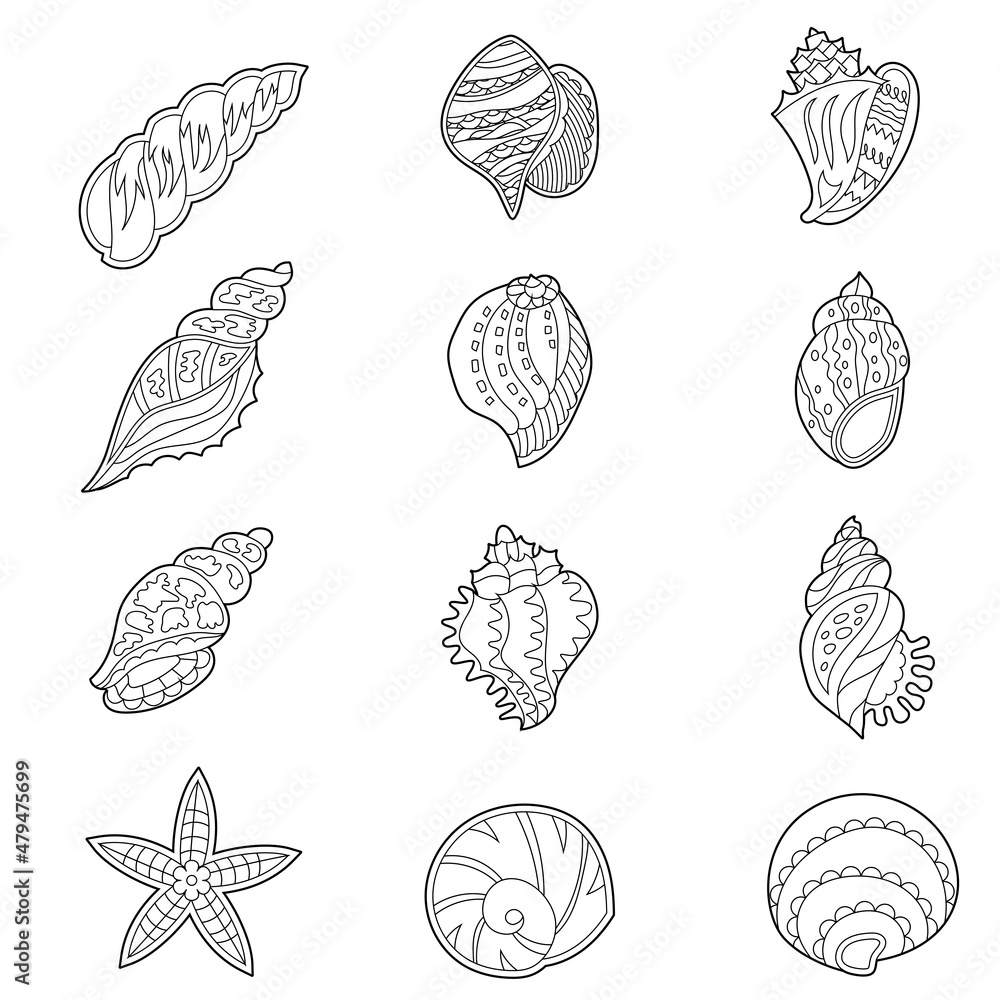 Set with different sea shells. Contour linear illustration for coloring ...