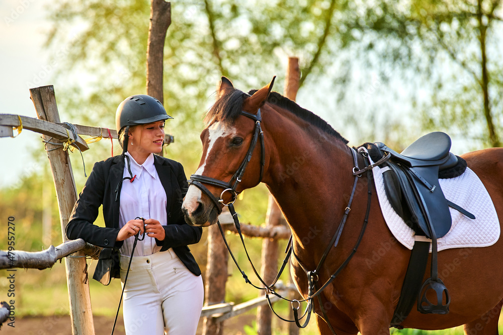 Beautiful horse rider girl stands near a horse on a farm Stock Photo ...