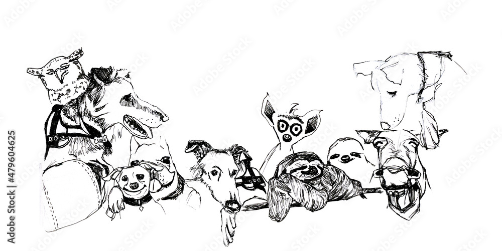 Banner con cornice di animali vari in bianco e nero, disegno a mano ...