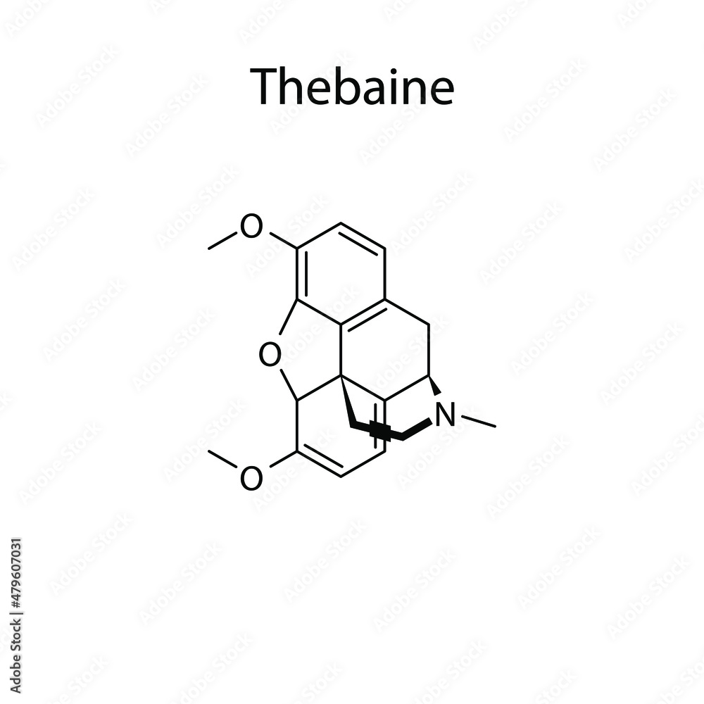 Thebaine molecular structure, flat skeletal chemical formula. Opioid ...