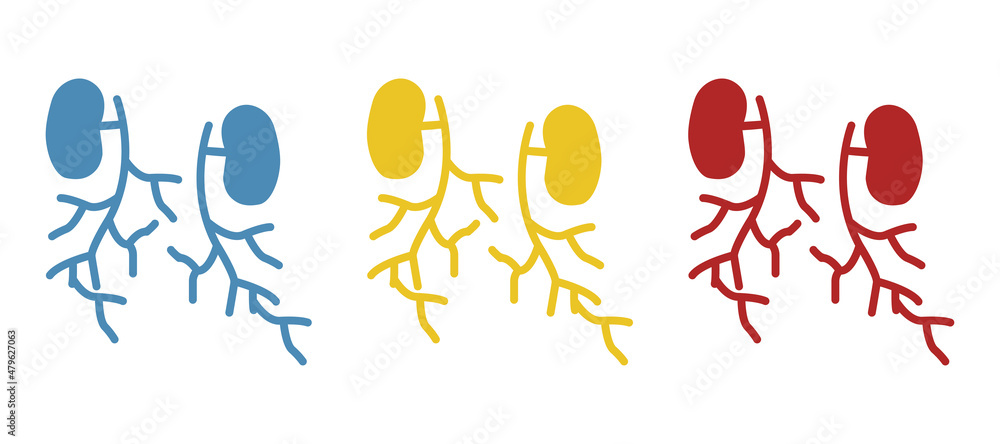 circulatory system icon on a white background, vector illustration ...