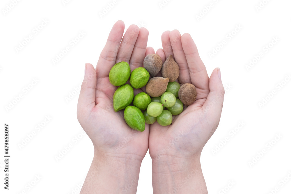 Triphala on hands isolated white background with clipping path. top ...