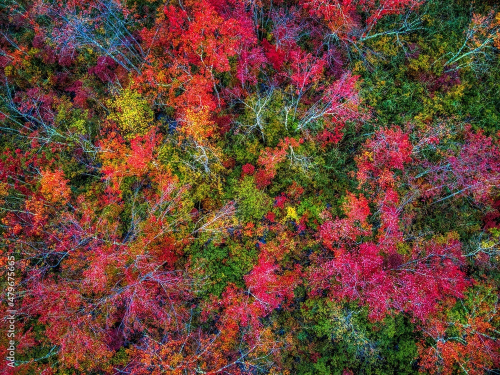 Nature Stock Photo | Adobe Stock