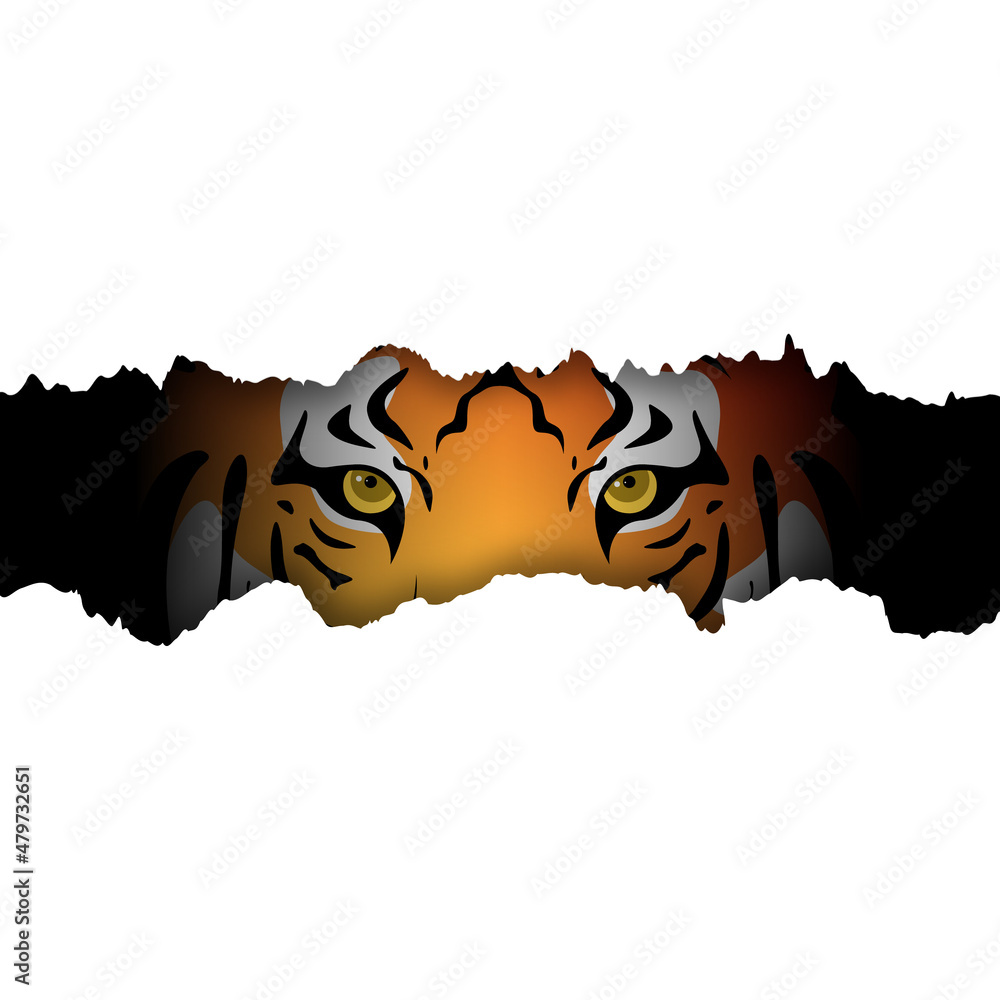 Tiger looks through hole in torn white paper. Symbol of 2022 year ...