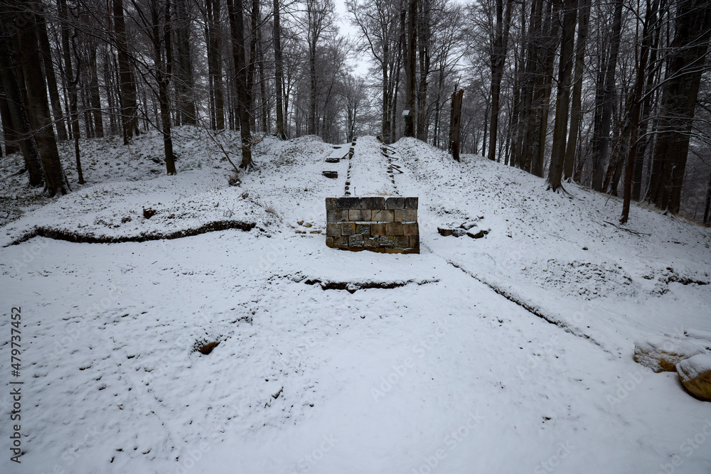 Sarmizegetusa Regia (royal residence) was the capital and the most ...