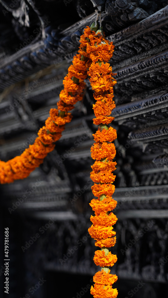 Orange Marigold flower displayed during the Tihar hindu festival in ...