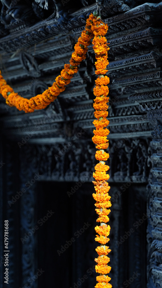 Orange Marigold flower displayed during the Tihar hindu festival in ...